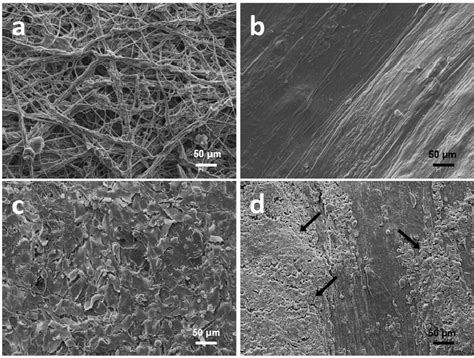 Processes Special Issue Design Of Bioreactor Systems For Tissue Engineering