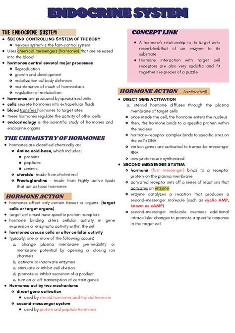 Edocrine System Endocrine Systemendocrine System The Endocrine System