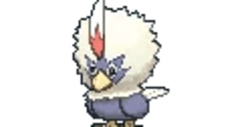 Rufflet Pokemon Sword And Shield Evolution Checklist
