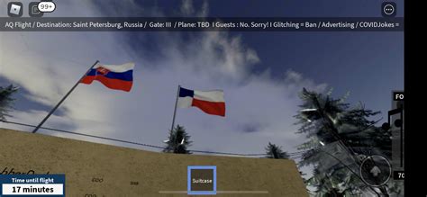 What Flag Is This I Found This In A Roblox Game And I Dont Know What