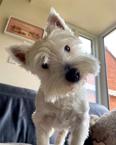 Pooja Odedra On Linkedin Love This ️