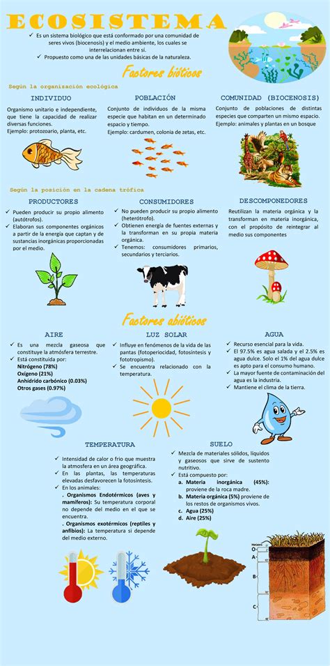 Ecosistema Infografía Ecosistema Es Un Sistema Biológico Que Está