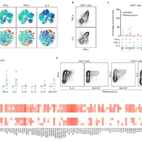 Cd39cd103 Trm Cells Sorted From Human Endometrial Tumors Are