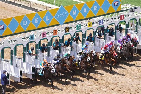 Del Mar Consensus Picks For Sunday Nov 9 2025 Orange County Register