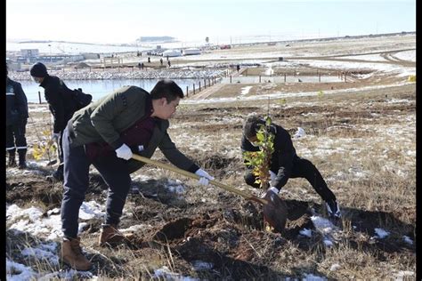 Explainer Why Large Parts Of Mongolia Are Affected By Desertification