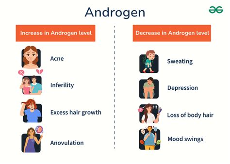 Androgen Hormone Function Types Production Androgen Vs
