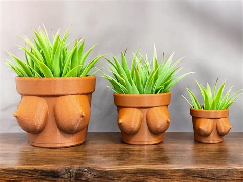 Boobie Planter Pot Funny Boobs T For Friends 3d Printed