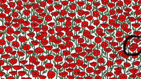 Optical Illusion Can You Spot The Candy In Under 30 Seconds