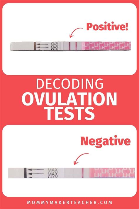 Decoding Ovulation Tests What Does A Faint Line Mean Mommy Maker