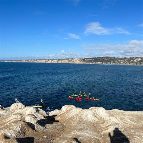 La Jolla Legendary Tours All You Need To Know Before You Go 2026
