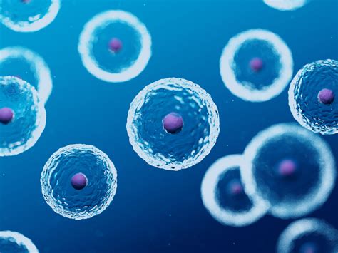 Human Cells Microscope