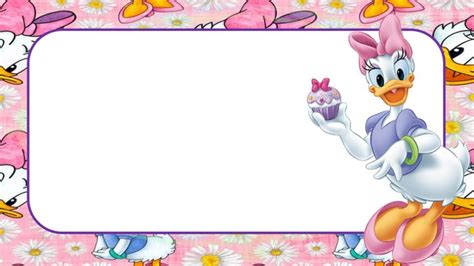 Daisy Label Daisy Labels