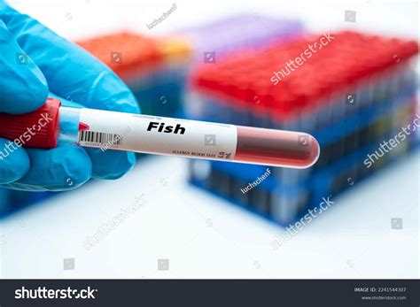 5577 Imágenes De Fish Testing Imágenes Fotos Y Vectores De Stock