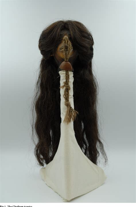 Figure 1 From Correlative Tomography And Authentication Features Of A Shrunken Head Tsantsa