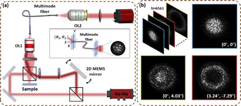 A Experimental Setup For Measuring The Transmission Matrix Of The