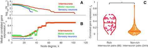 Correlated Gene Expression Is Highest For Hub Interneurons A The Download Scientific Diagram