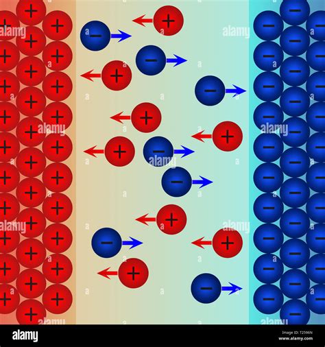 Electrode Holder Positive Or Negative At Mason Mullan Blog