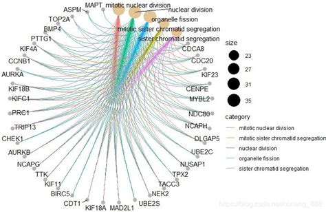 Ggplot2坐标轴或legend的label长度时间序列坐标长度legend Csdn博客