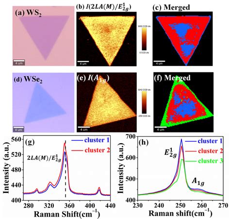The K Means Clustering Raman Analysis Of Monolayer Ws2 And Wse2 On Download Scientific Diagram