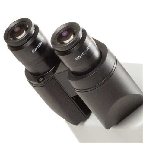 Prosource Scientific Euromex Delphi X Inverso Inverted Microscope