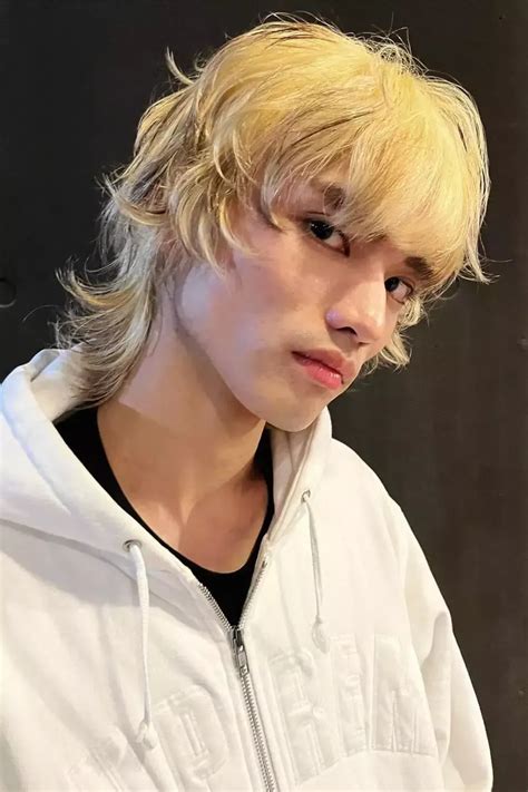 Wolf Cut Mens Haircuts Discover Wild And Stylish Trend Nyt Hår