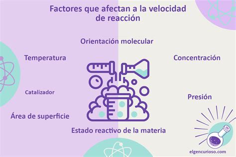 Factores Que Afectan La Velocidad De Reacción Cinética Química