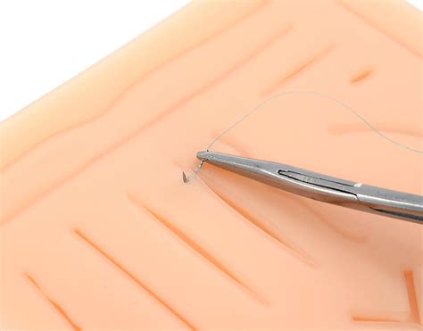 Practice Suture Kit Premium Made By Physicians Eisco Labs — Hbarsci