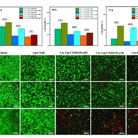 Cell Proliferation A And Aobe Staining Image B Download Scientific Diagram