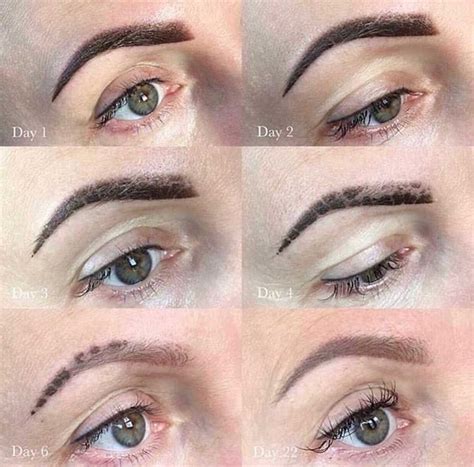 My Ombre Brows Have Disappeared What Should I Do Microblading Augenbrauen Augenbrauen