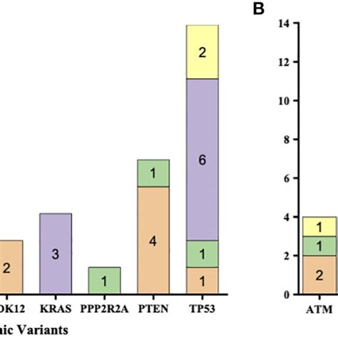 Types Of Mutations In Each Type Of Aberrations A Aberrations In Download Scientific Diagram