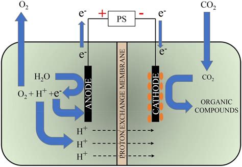 Schematics Of A Typical Microbial Electrosynthesis Cell Download
