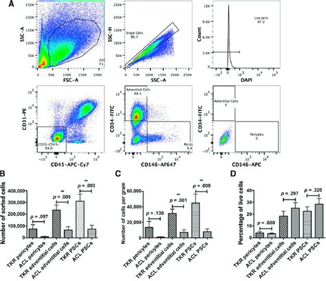 Flow Cytometry Isolation Of Perivascular Stem Cells A Download