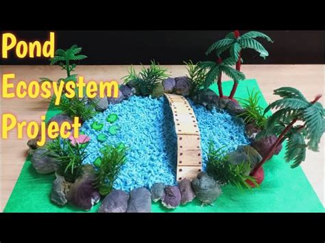River Ecosystem Project Ideas