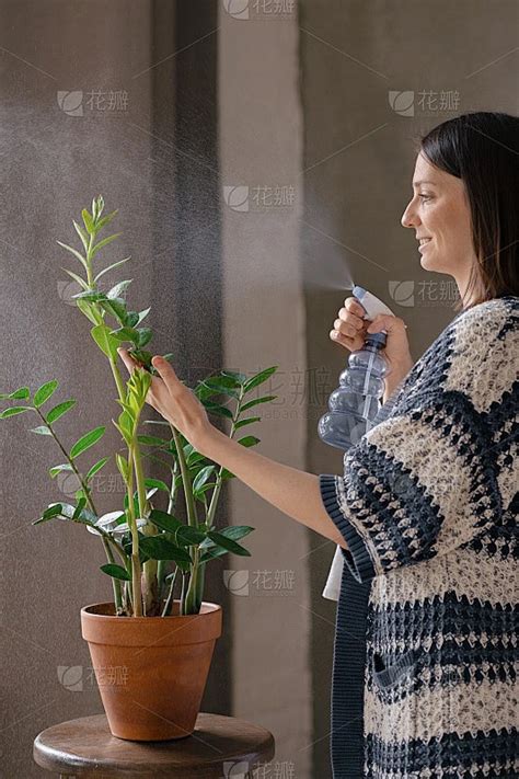 白种女人浇水和滋润鲜花，家庭植物护理，浇水和移植鲜花在家里，花商或园丁素材 花瓣网