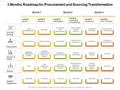 3 Months Roadmap For Procurement And Sourcing Transformation