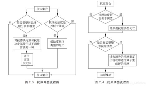 一文搞懂什么是免疫算法immune Algorithm【详细介绍】 Csdn博客 一文搞懂什么是免疫算法immune Algorithm【详细介绍】 Csdn博客