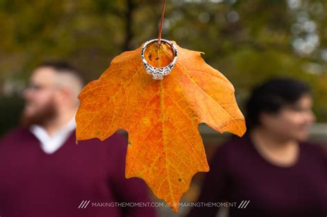Making The Moment Photography Updated January 2026 26 Reviews
