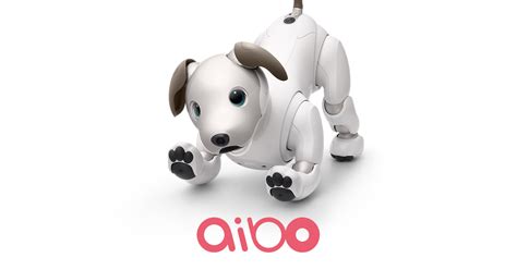 Aibo Design
