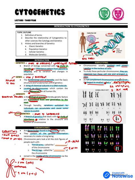 Cytogen Week 1 2 Introduction Annotate Pdf Genetics Self Improvement
