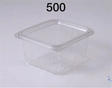 500ml Rectangle Hinged Container At ₹ 4carton Bellary Id