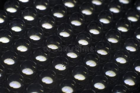 HDR LED Matrix Stock Photo Image Of Emitting Lamp