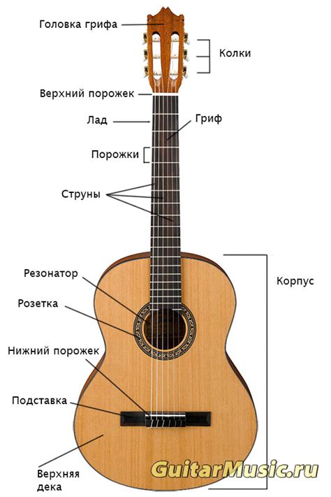 Устройство акустической гитары