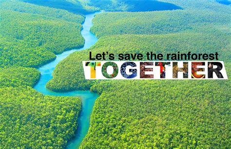 Save The Rainforest Poster Modern Poster Layouts
