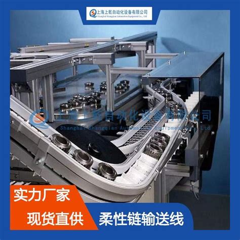 包装行业缓存输送线 医疗用大型柔性链设备厂家上乾
