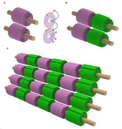 The Mutual Inductance Between Adjacent Axons A The Myelin Sheaths Download Scientific