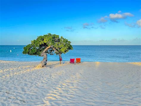 Where To See Flamingos In Aruba Aruba Unleashed