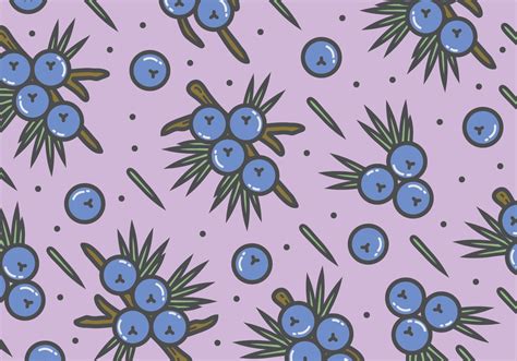 Juniper Pattern Background 147218 Vector Art At Vecteezy
