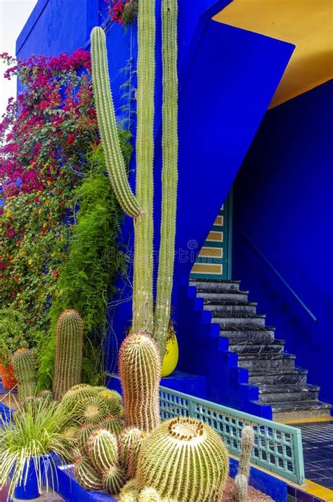 The Majorelle Garden Jardin Majorelle Marrakech Morocco Plants And