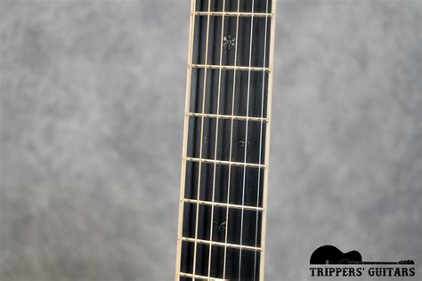 Yamaha Ls56 2020年代 Trippers Guitars