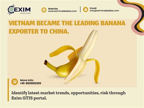 Vietnam Import Export Data Global Import Export Data Provider